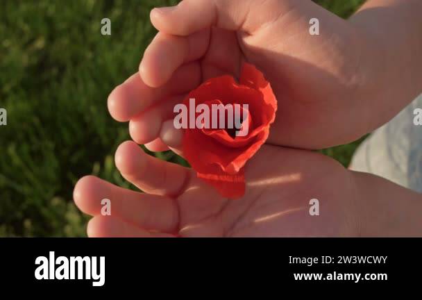 Tender symbol Stock Videos & Footage - HD and 4K Video Clips - Alamy