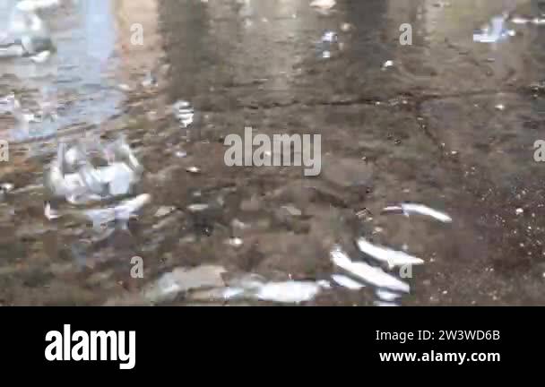 Rain falling on pavementRain water drop falling to the floor. The rain ...