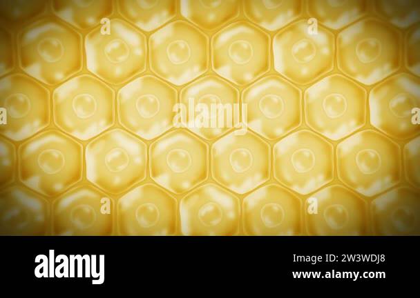 Human skin cells. Each cell with membrane. Cellular therapy. Disease ...