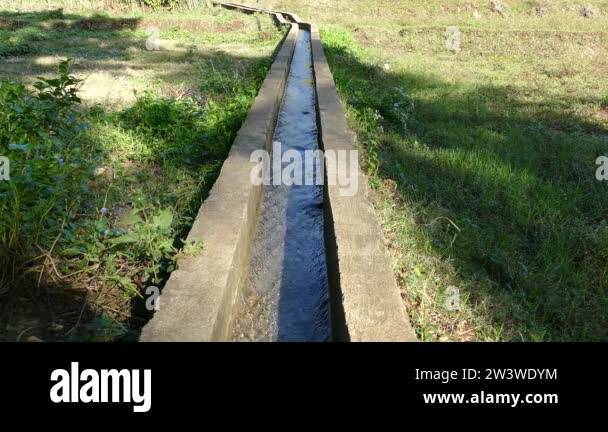 Water irrigation at farm land in Anda Bohol the Philippines Stock Video ...