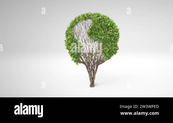 Growing tree, forming globe shape with leaves. Earth tree concept ...