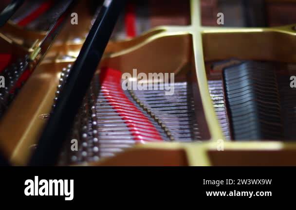 selective focus to inside a grand piano. Interior of a grand piano ...