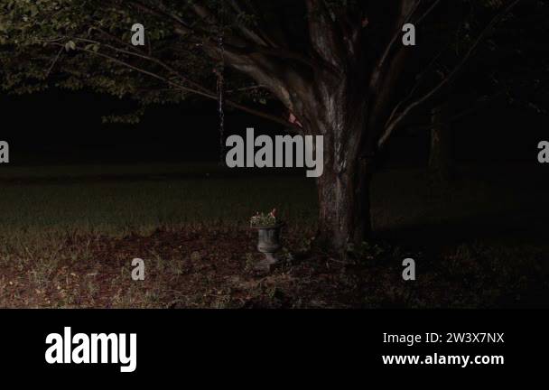 Man hiding around Stock Videos & Footage - HD and 4K Video Clips - Alamy