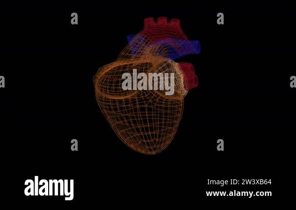 Heart scan animation. The interface for detecting diseases and problems ...