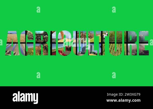 Agriculture - Animated Text Word on Chroma Key Green Screen Background ...