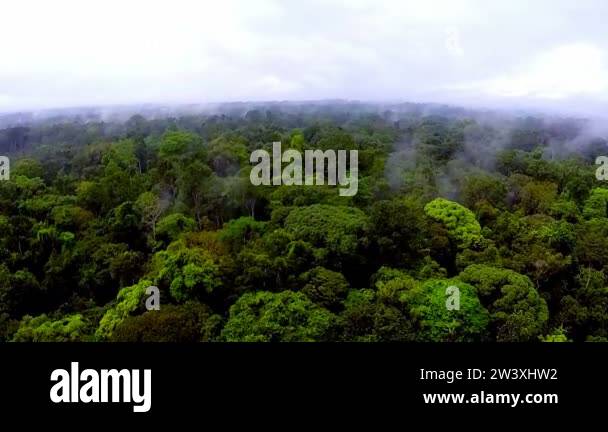 Equatorial africa Stock Videos & Footage - HD and 4K Video Clips - Alamy
