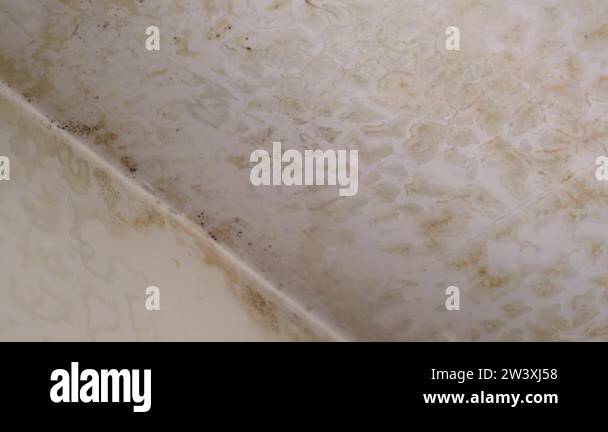 Formation of dirty brown spots on the apartment ceiling, wet mold ...