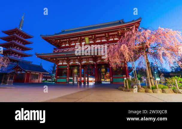 Sensoji buddhist temple cherry blossom Stock Videos & Footage - HD and ...