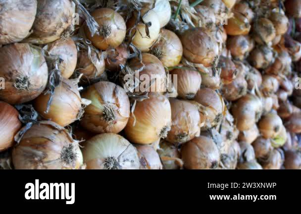 Dry onions Stock Videos & Footage - HD and 4K Video Clips - Alamy