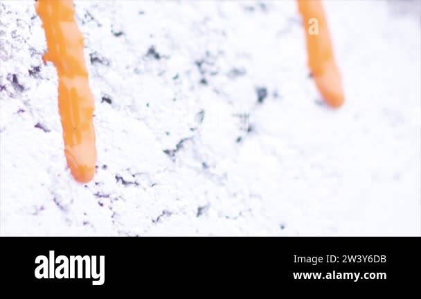 Yellow paint slowly covering white background. Action. Close up of ...