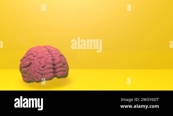 Pink human brain model 3d parts rotating intelligence anatomy animation ...
