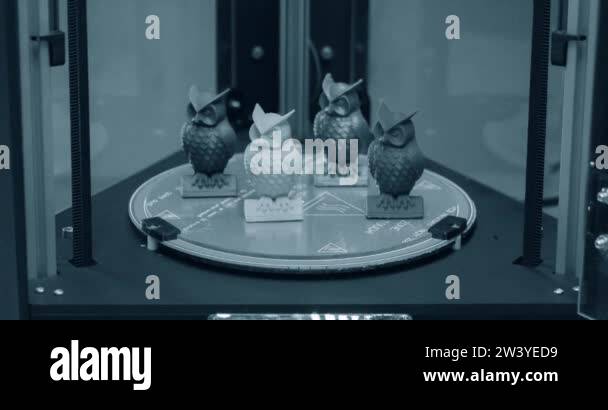 Owls Form Stock Videos And Footage Hd And 4k Video Clips Alamy