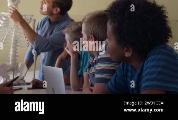 Caucasian male teacher using a model of a human skeleton to teach a ...