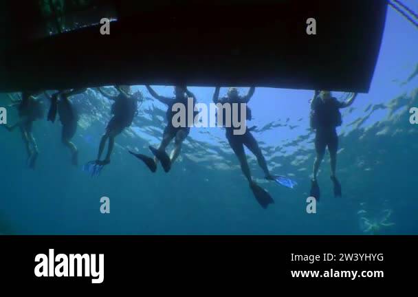 Diving training: a group of student divers beside the edge of floating ...
