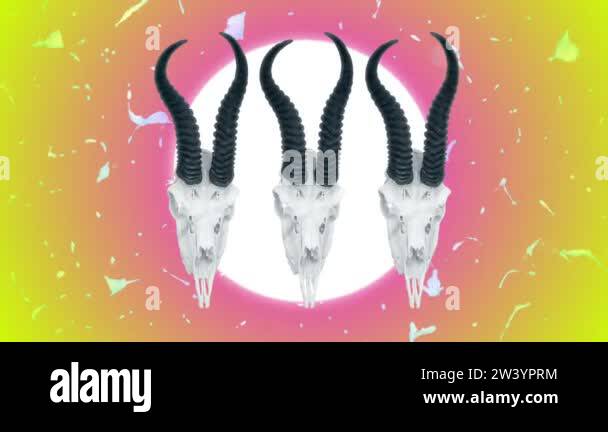 Antelope dance Stock Videos & Footage - HD and 4K Video Clips - Alamy