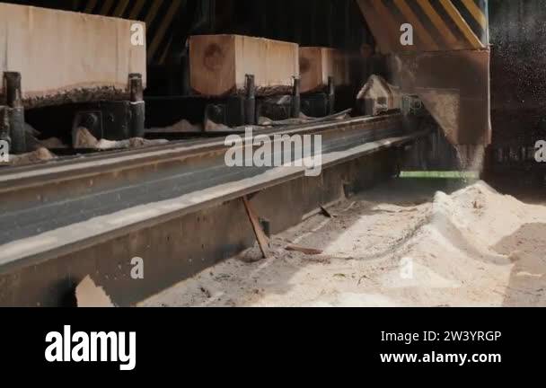 Cut pine tree log on sawing machine at wood production factory. Timber ...