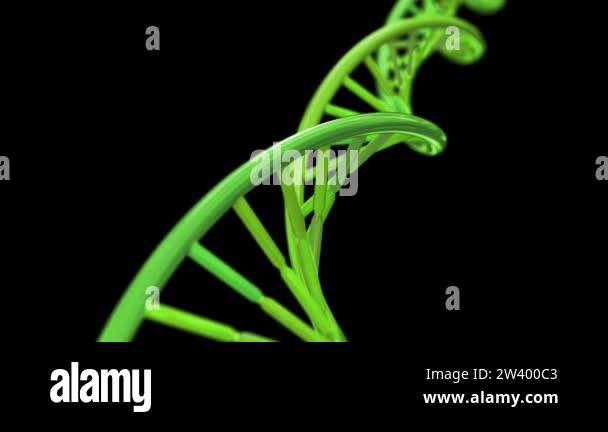 DNA spinning RNA double helix slow science electron microscope closeup ...