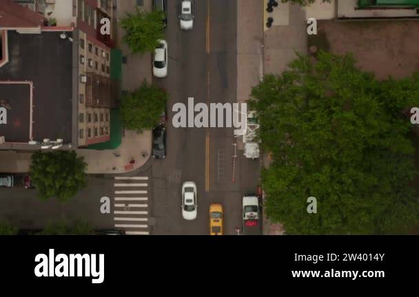 Overhead flight of birds Stock Videos & Footage - HD and 4K Video Clips ...