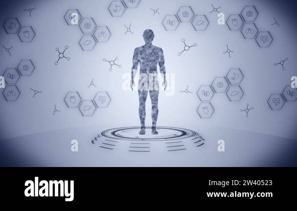 Man virtual body. Human medical hologram animation. Graph, Diagram ...