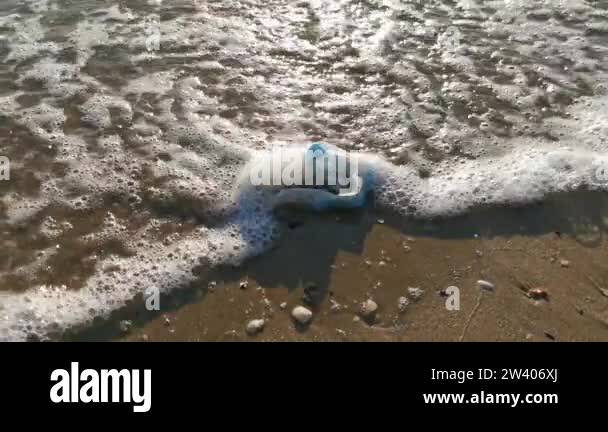 Rejection of science Stock Videos & Footage - HD and 4K Video Clips - Alamy