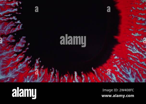 Crystal germination. Abstract black spot on a red, dark background ...