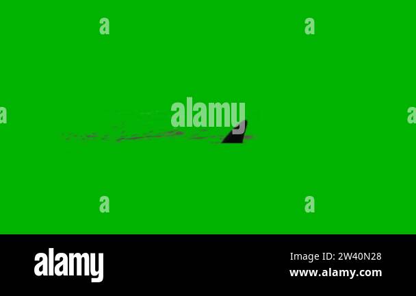 Fin swimming Stock Videos & Footage - HD and 4K Video Clips - Alamy