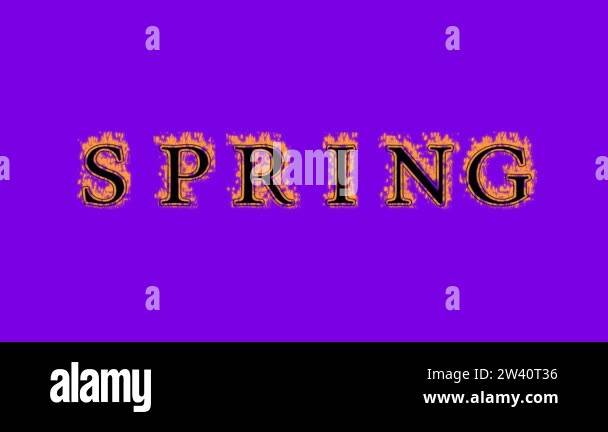spring fire text effect violet background. animated text effect with ...