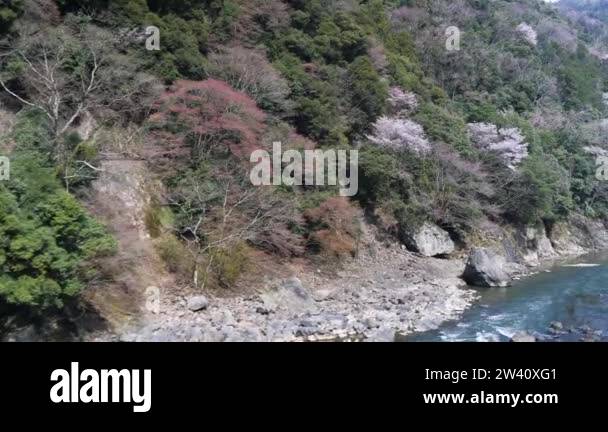 Hozugawa,river,hozu,kudari,ride,Arashiyama,Kyoto,sakura,cherry,blossom ...