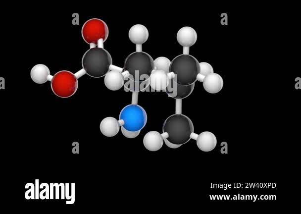 Leucine (symbol Leu or L) is an essential amino acid that is used in ...