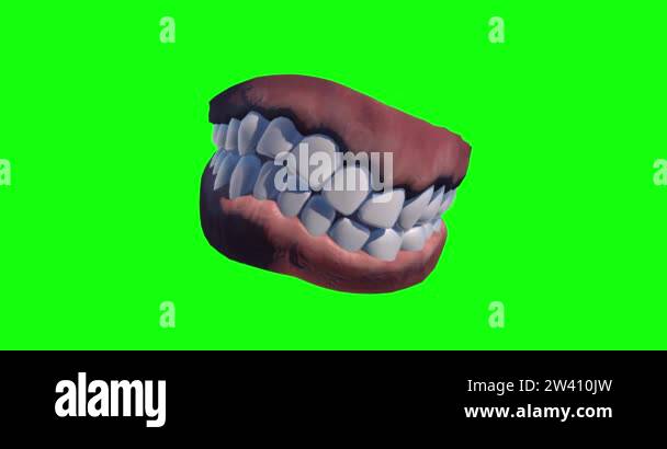 8 different animations teeth denture dental dentist human green screen ...