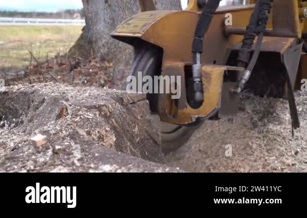 Closeup view from left side of a tree stump grinding with a yellow ...