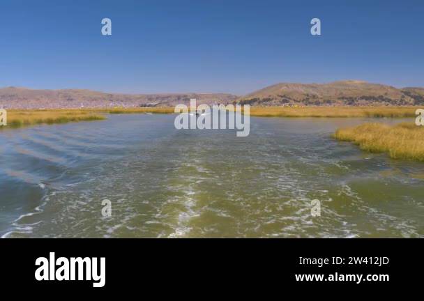 Peru fauna Stock Videos & Footage - HD and 4K Video Clips - Alamy