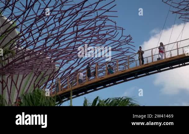 People enjoying unforgettable scenes viewed from Supertree Grove Stock ...