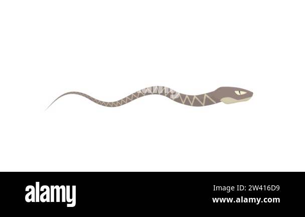 Snake bite cartoon Stock Videos & Footage - HD and 4K Video Clips - Alamy