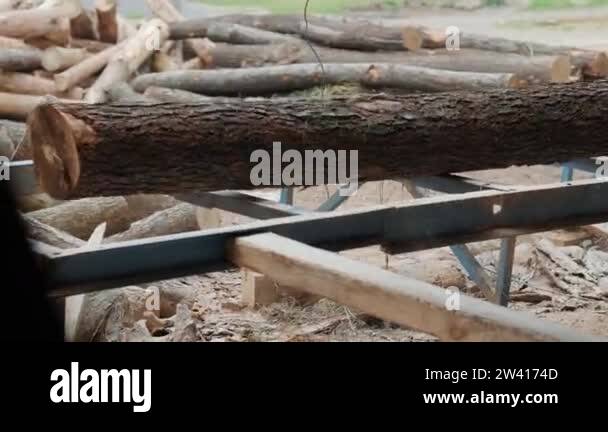 Loading logs on a sawing machine. Sawing machine at wood production ...