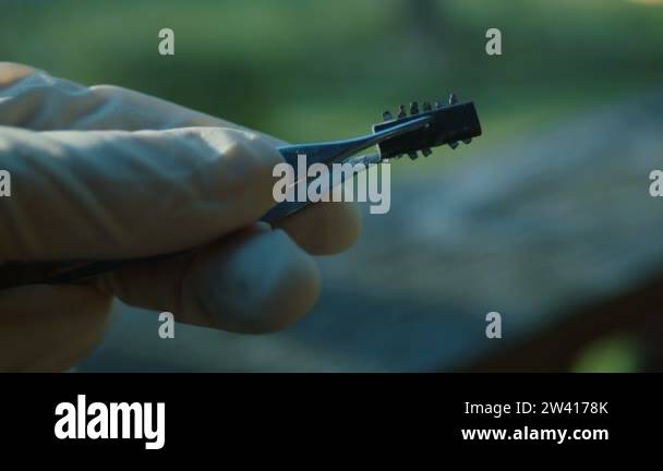 Chip in hand Stock Videos & Footage - HD and 4K Video Clips - Alamy