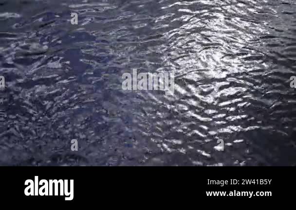 Glare surface of water and algae under water. Texture. Background Stock ...