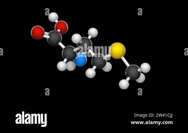 Methionine (symbol Met or M) is an essential amino acid in humans ...
