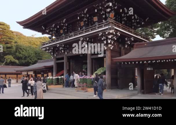 Chrysanthemum gate Stock Videos & Footage - HD and 4K Video Clips - Alamy