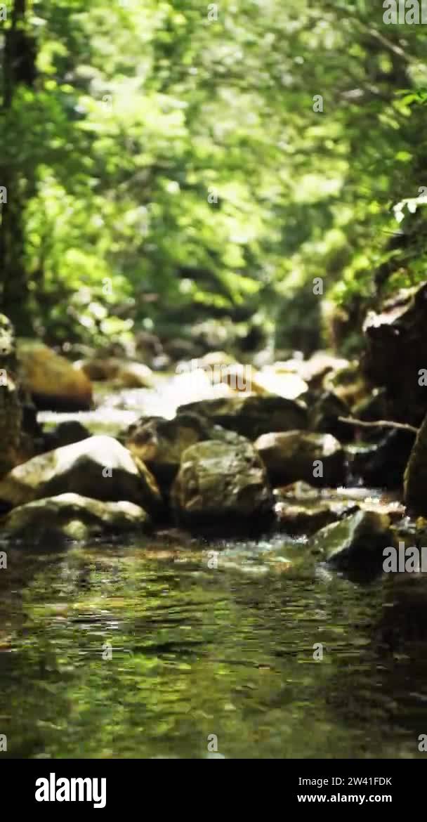 Mountain river flowing in rainforest. Endless meditative video, stream ...
