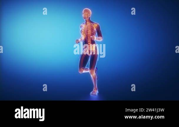 Skeleton running man Stock Videos & Footage - HD and 4K Video Clips - Alamy