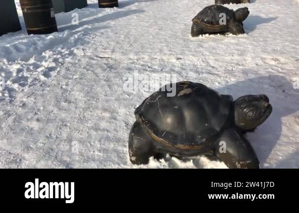 Covered fire hydrant Stock Videos & Footage - HD and 4K Video Clips - Alamy