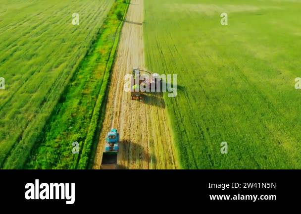 Harvest concept, summer. A combine harvester and a tractor with a ...