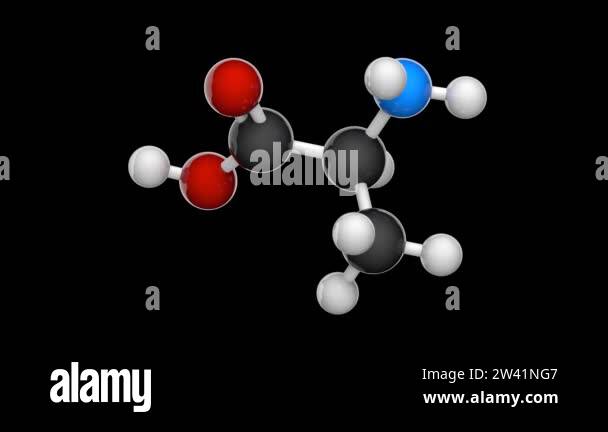 Alanine (symbol Ala or A) is a small non-essential amino acid in humans ...