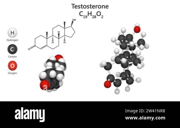 Molecular Structure Of Testosterone Steroid Hormone From The Androgen