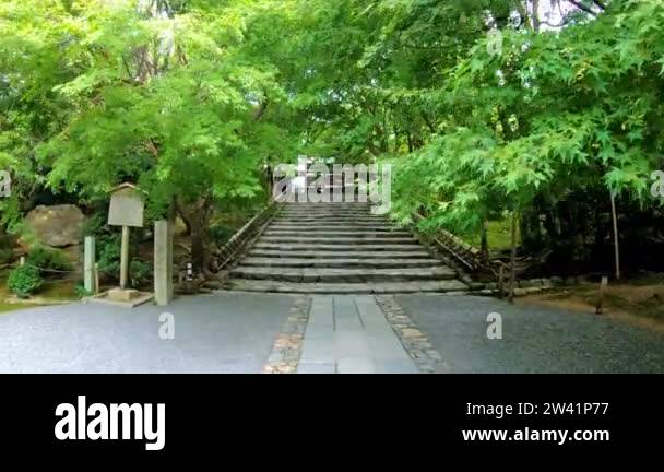 The stone steps leading through the forest to the Kuri, the former ...