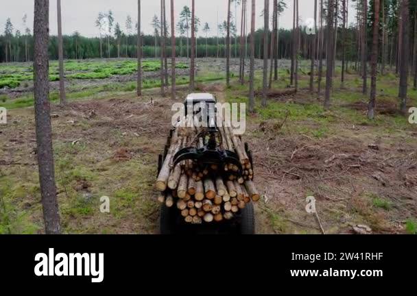 Back view of industrial wood carrier cargo vessel truck trailer with ...