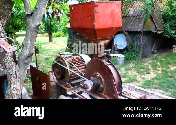 Animal power machine Stock Videos & Footage - HD and 4K Video Clips - Alamy