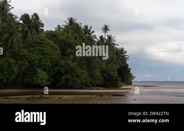 Coconut Trees at The Tropical Beach in Nias Island, North Sumatra ...