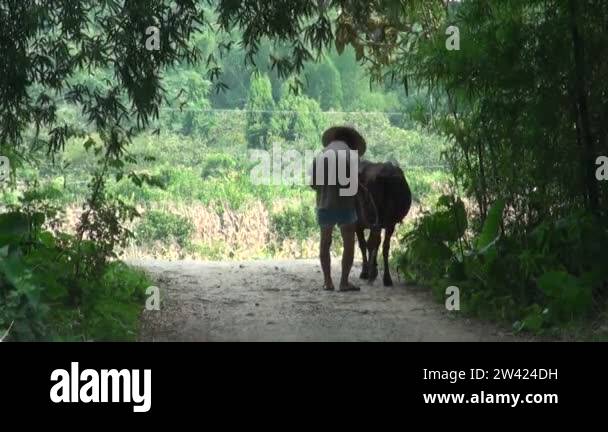 Guides them Stock Videos & Footage - HD and 4K Video Clips - Alamy